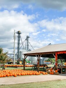 Tate Farms - Pumpkin Farm Huntsville, Madison, Athens, Alabama