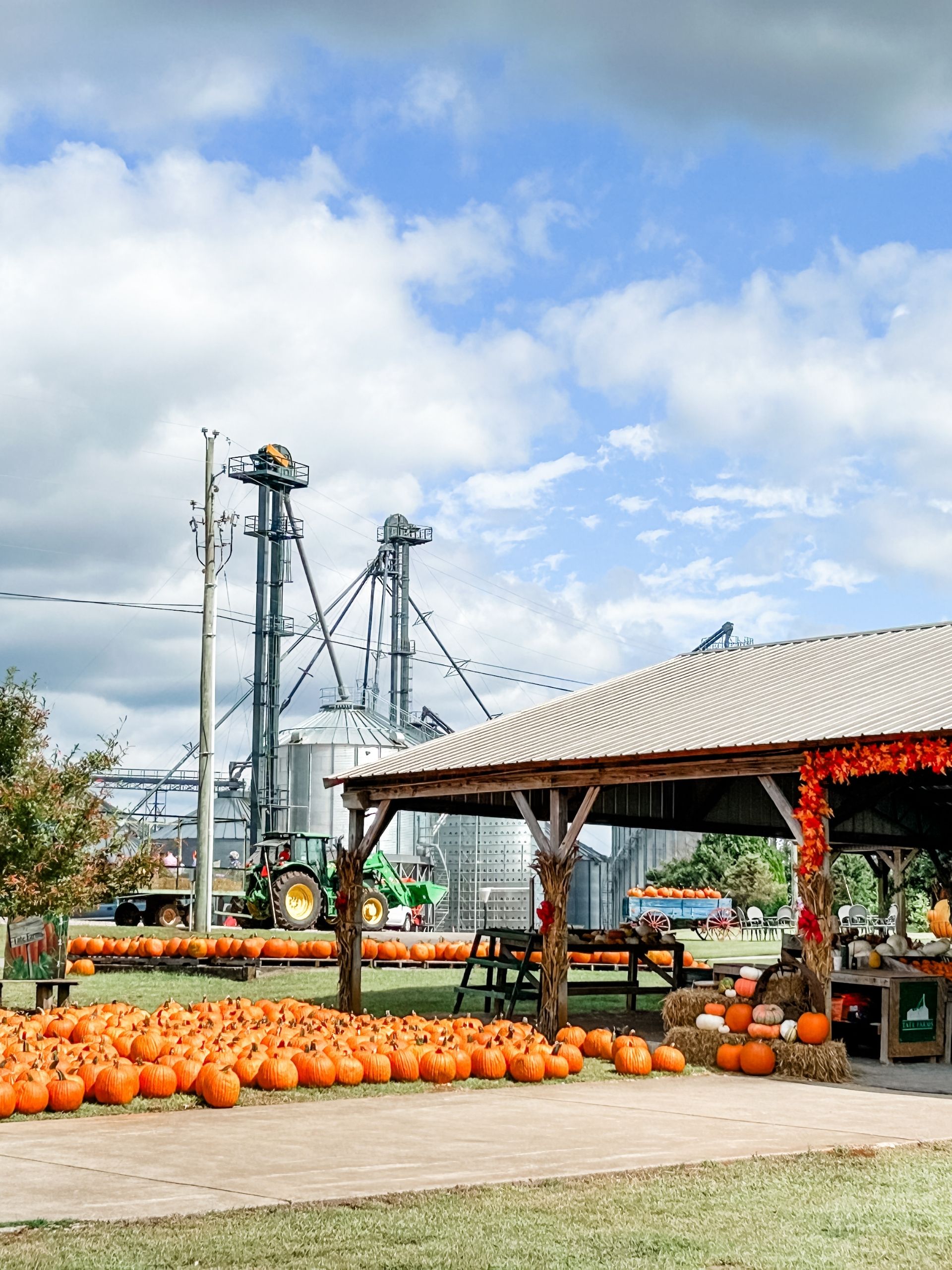 Tate Farms - Pumpkin Farm Huntsville, Madison, Athens, Alabama
