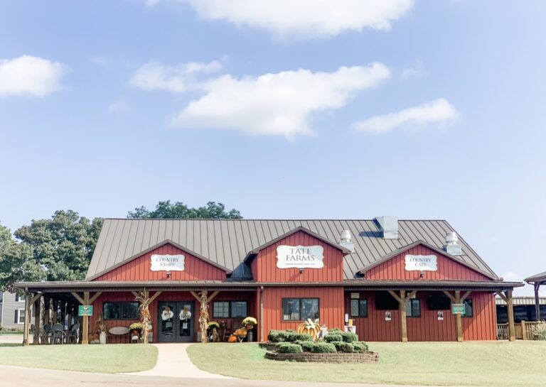 Tate Farms - Pumpkin Farm Huntsville, Madison, Athens, Alabama